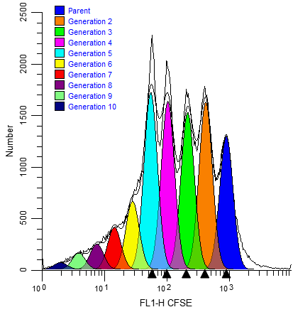 Enhanced Cell Tracking Analysis